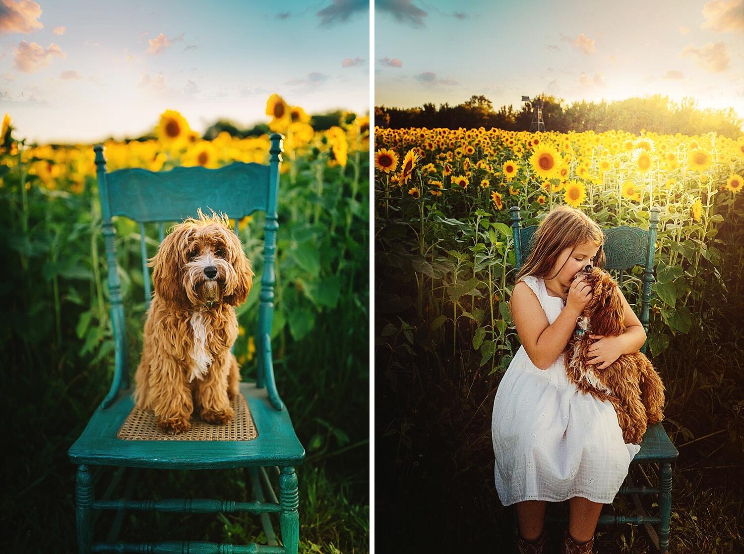 Color Splash Studio | Sunflower Photos